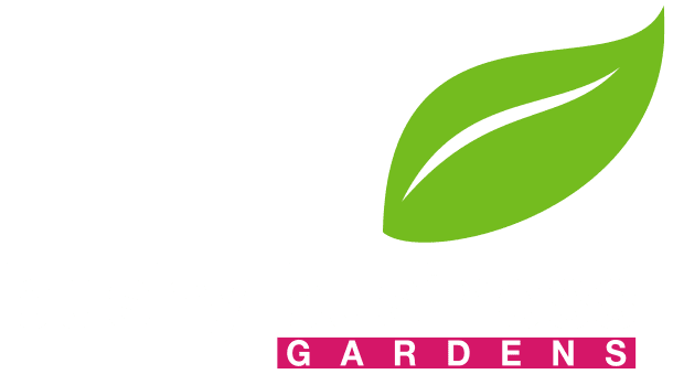 Bushy Business | Landscaping | Garden Design Team